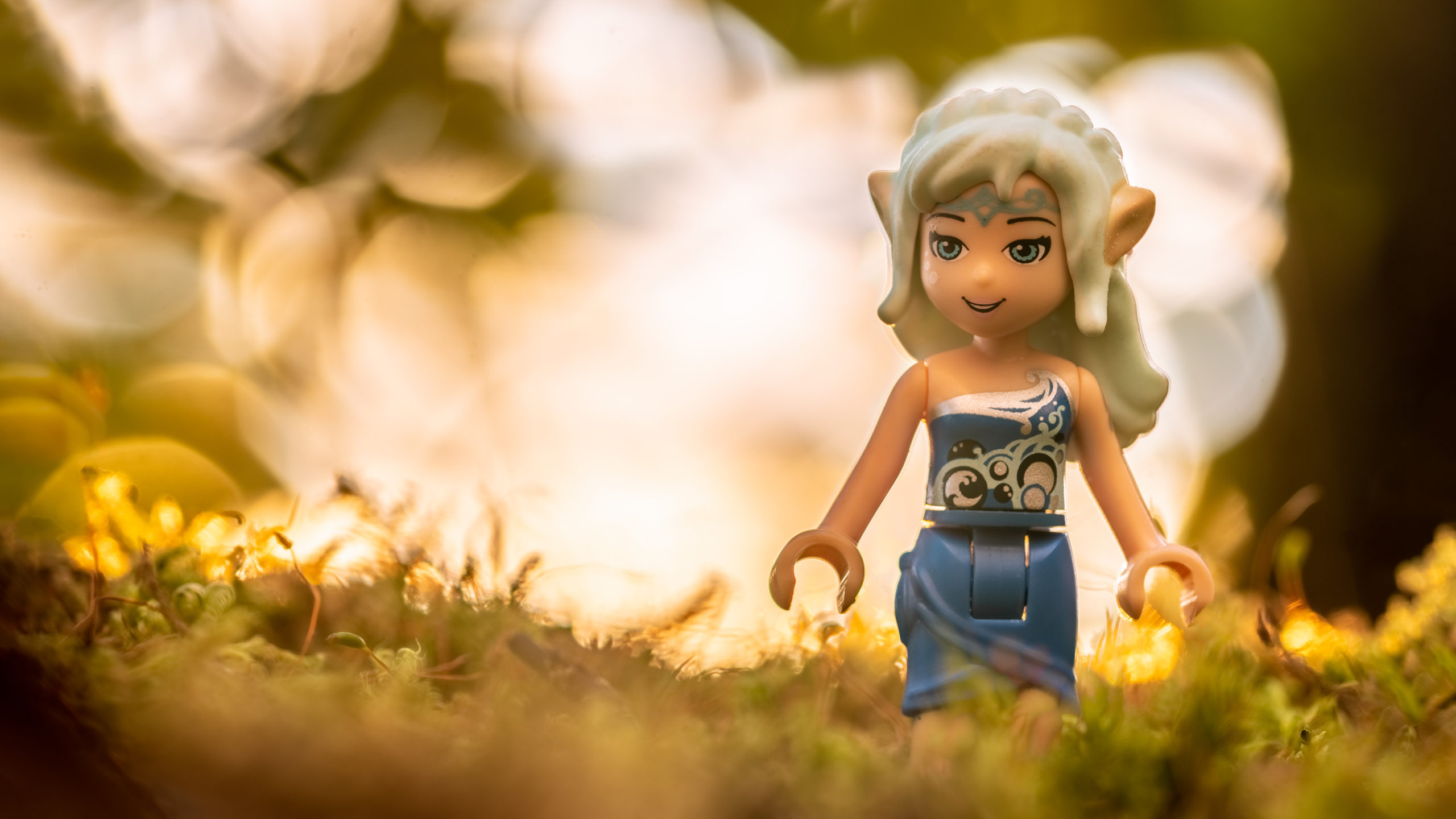 Elven Human Beings - Maëlick in the North